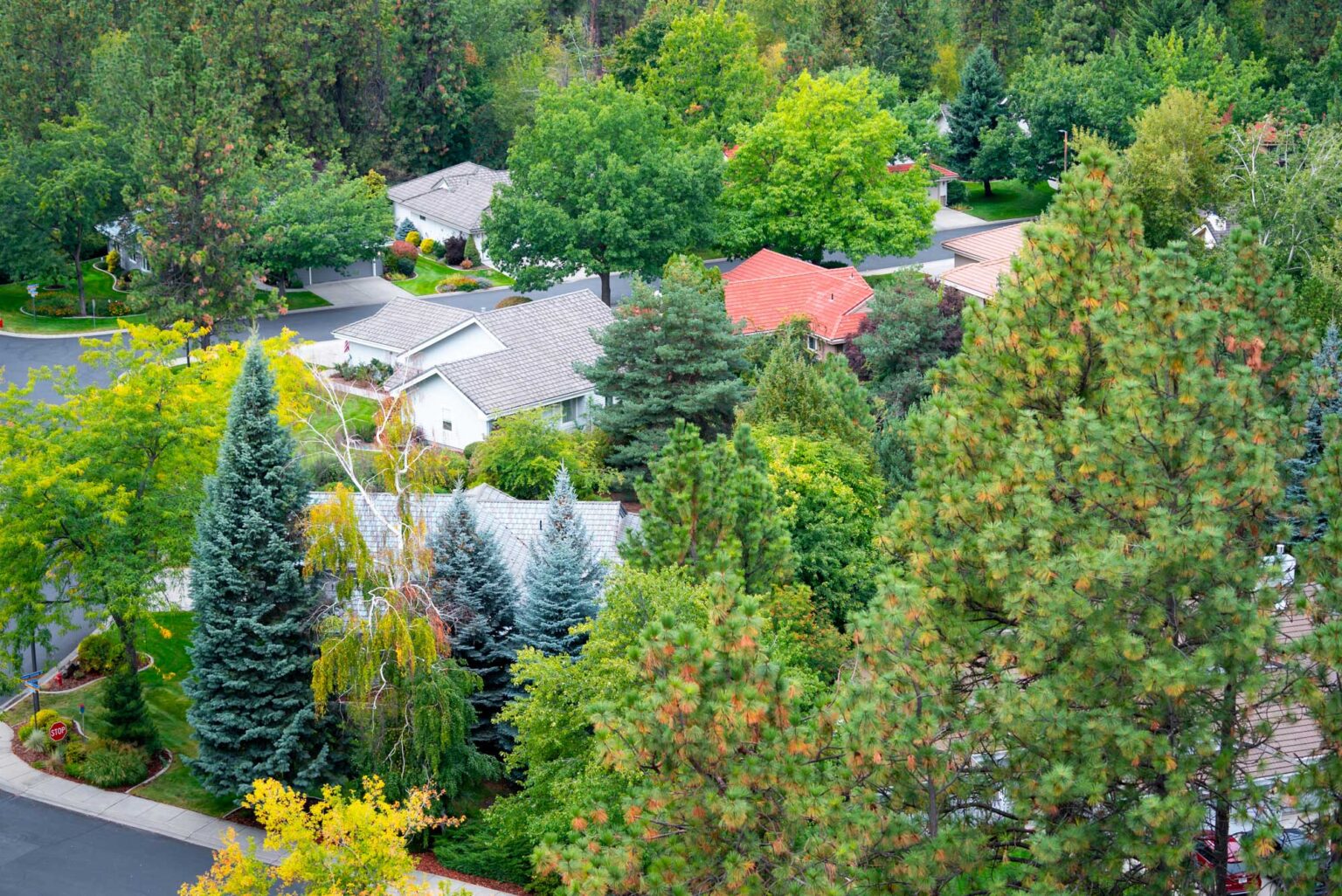 Rockwood History | Rockwood Retirement Communities